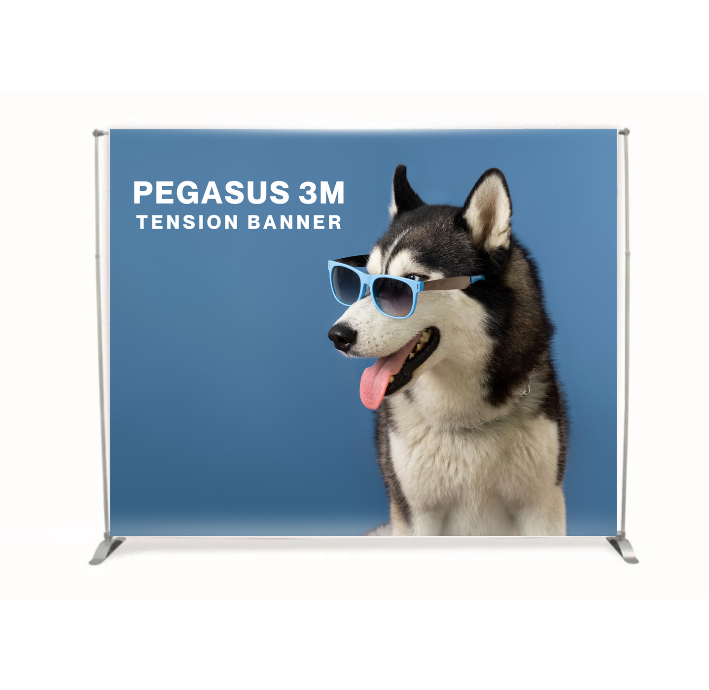 Pegasus 3m Tension Banner | Marler Haley